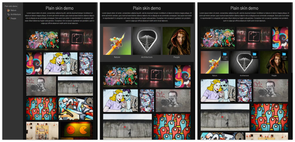 Meet Plain Skin - jAlbum Blog